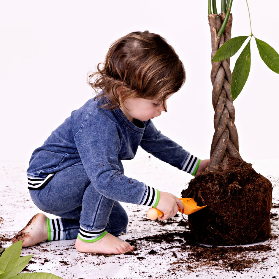 Products – Pixie Rack